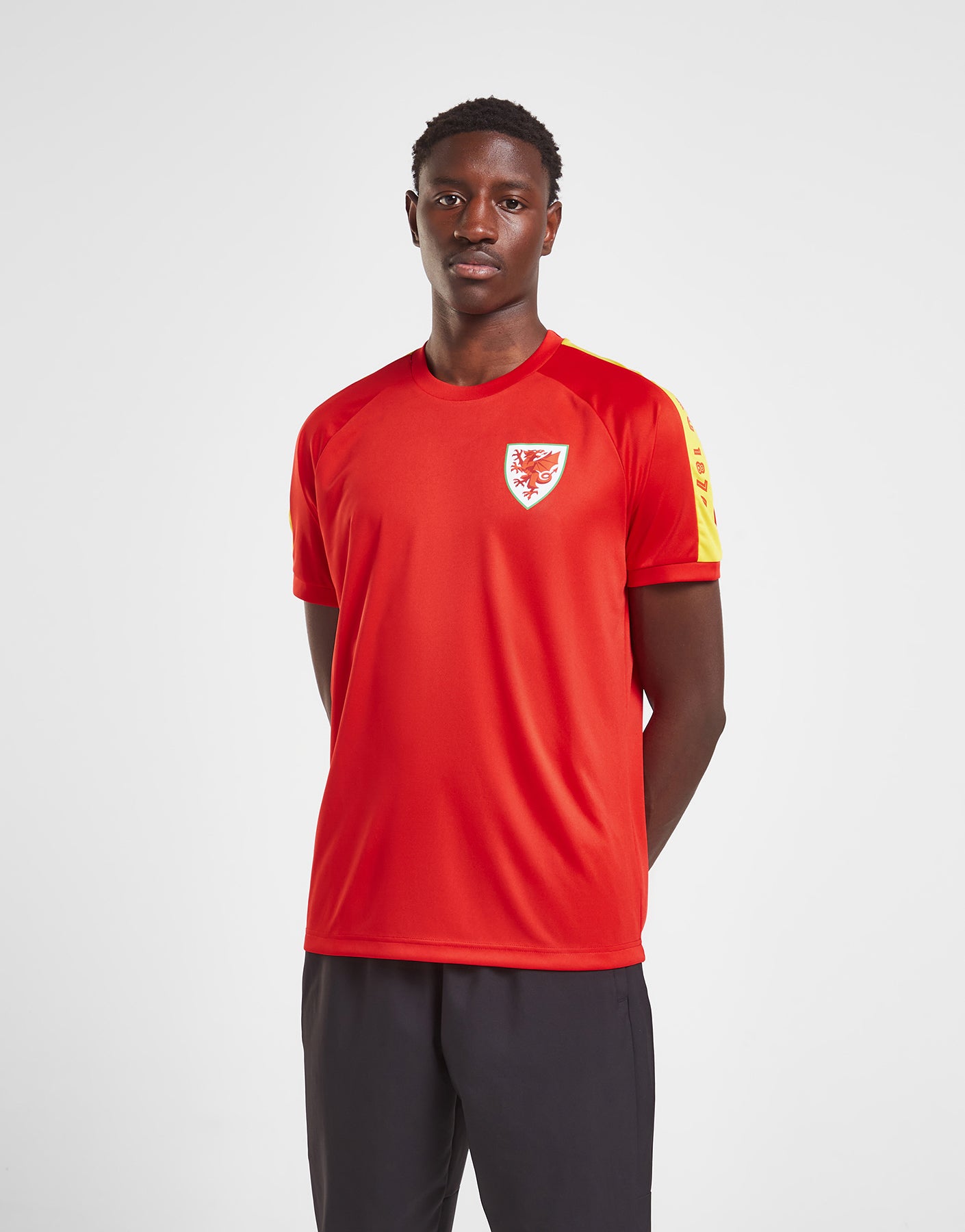 Wales | The World Football Store